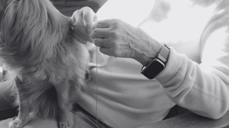 Hjerteinfarkt: Symptomer, forekomst og fallrisiko